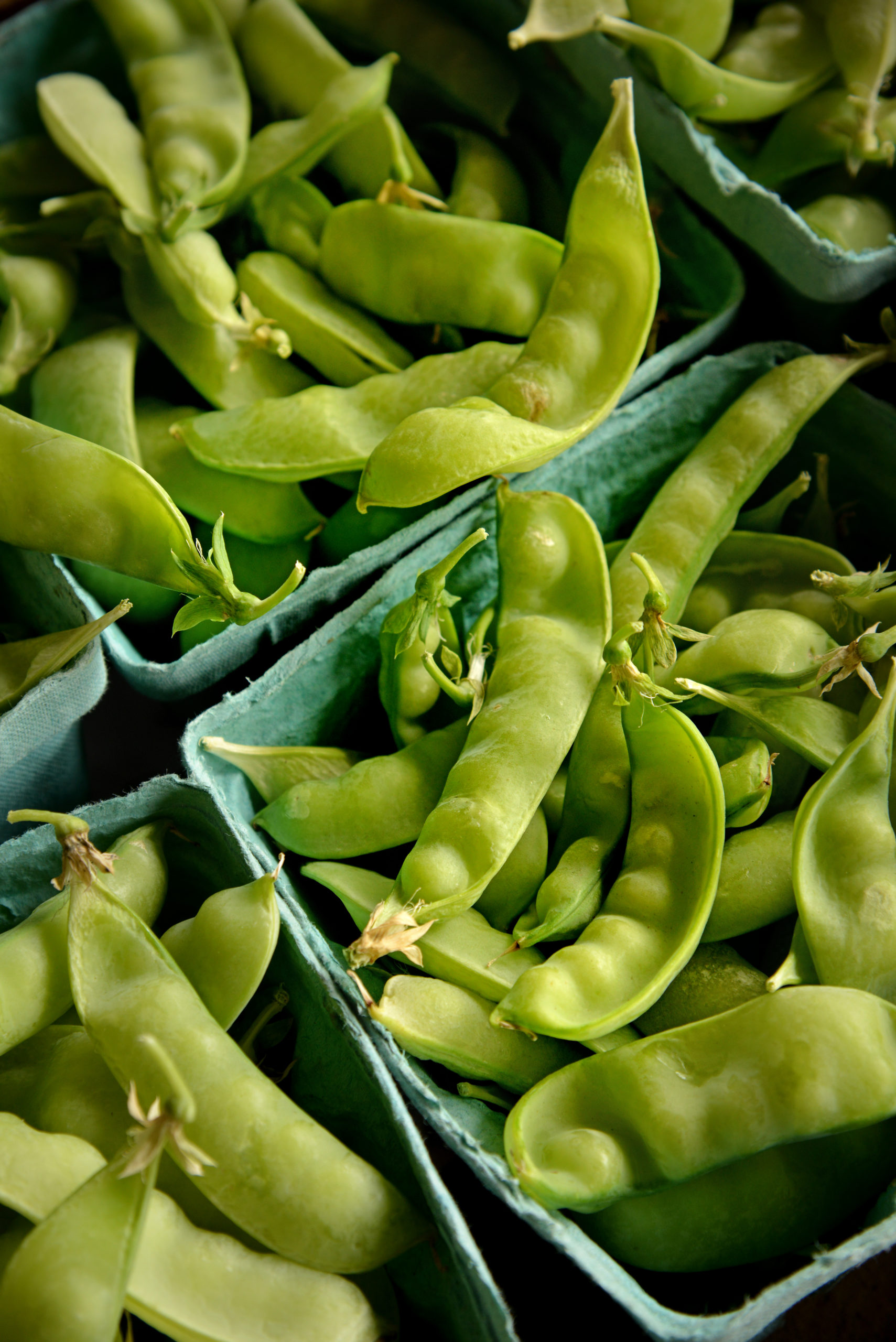 Revised Crop Group Table Now Available – IR-4 Project