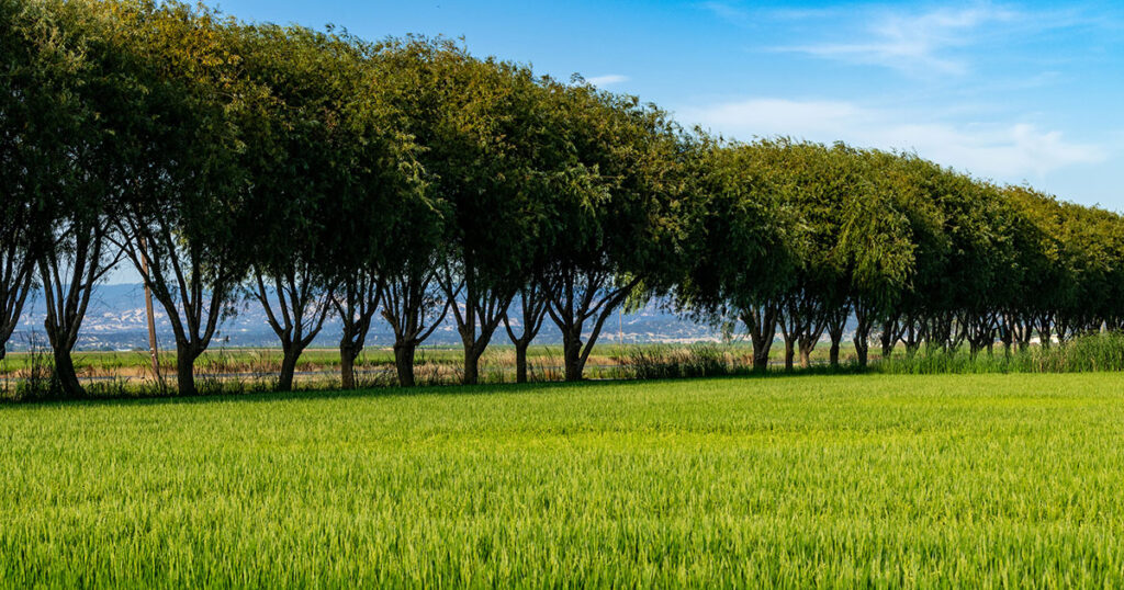 News – IR-4 Project